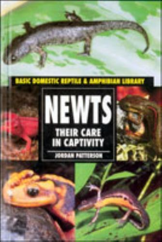 Newts (Reptiles) by Patterson, Jordan 9780791051313| eBay