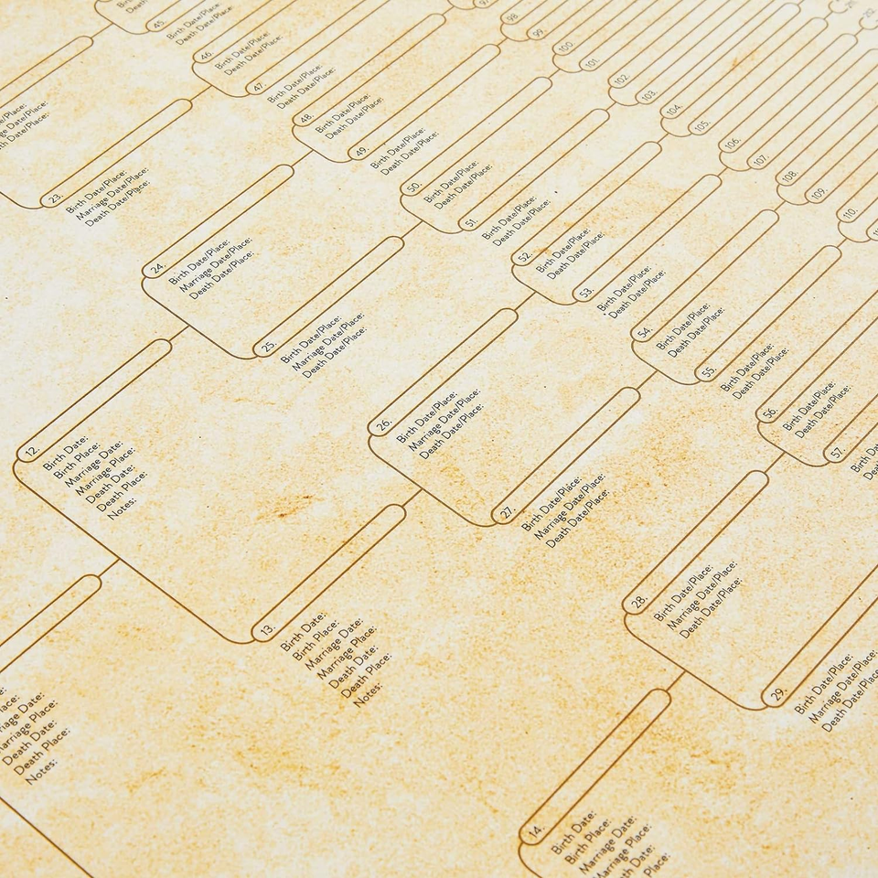 15 Pack Family Tree Charts to Fill In Eight Generation Genealogy Poster ...