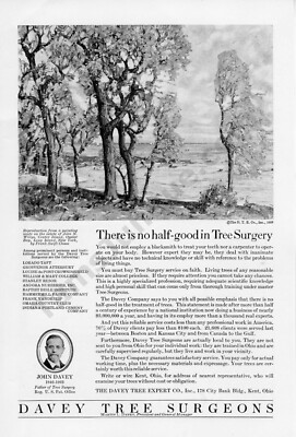 1929 Davey Tree Surgeons Old Vintage Collectible Print AD Picture by D ...