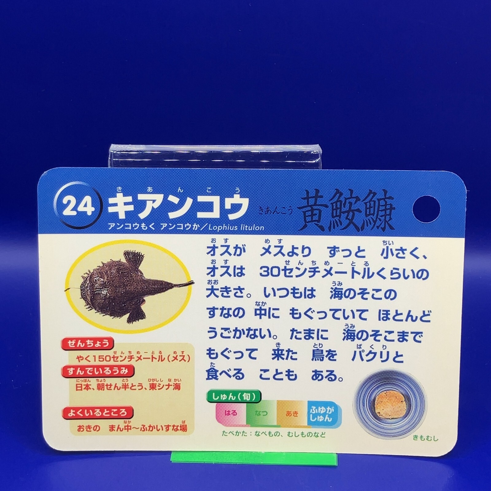 Animal Card Fish Sea Creatures 4.25 x 2.75 Inch Made in Japan Japanese ...