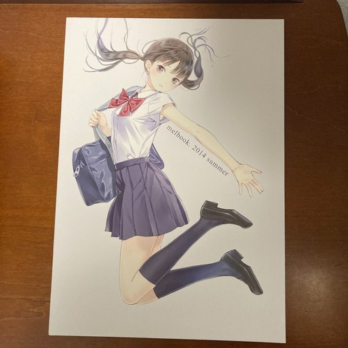 melbook. 2014 summer Maigo Tsushin Art Book Illustration | eBay