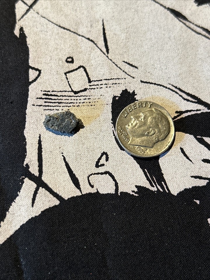 The Walking Dead Screen Used Prison Cell Block A Wall Fragment | eBay