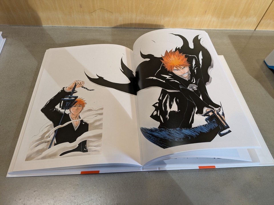 Bleach Illustrations JET Art Book Case Limited Edition Weekly Jump ...