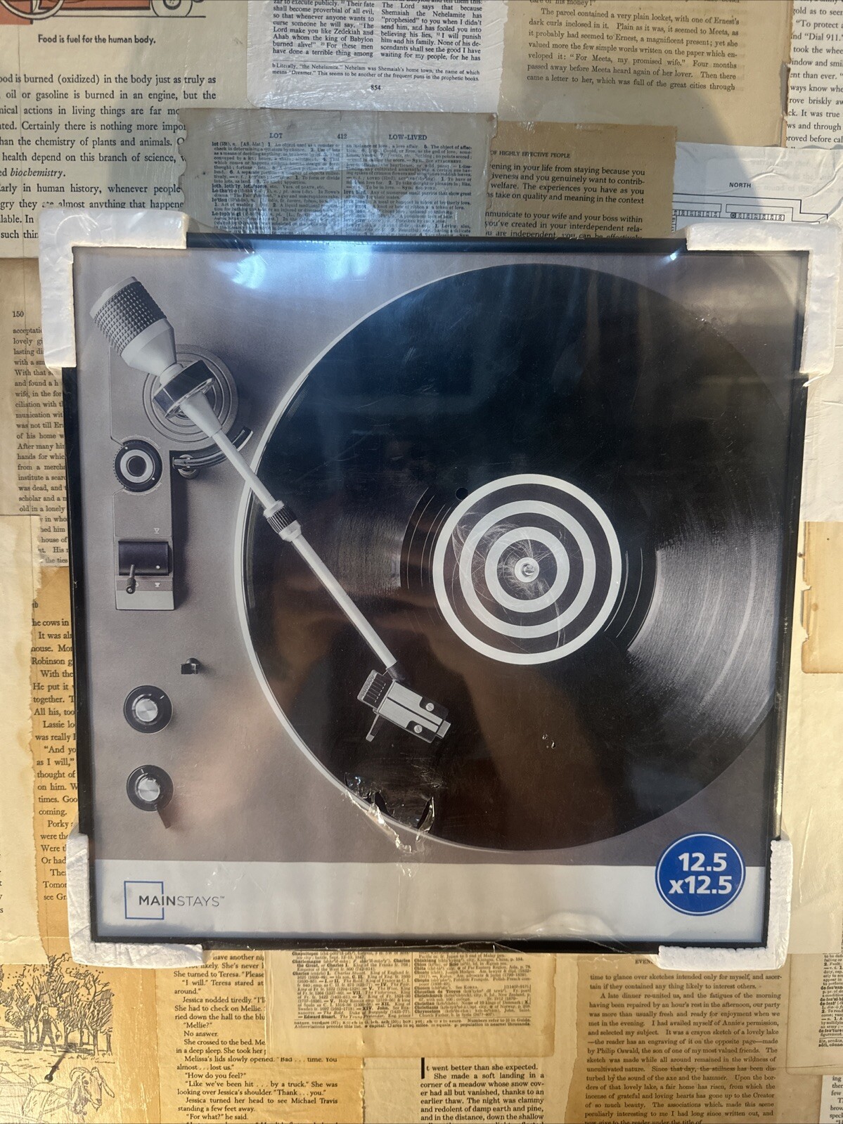 Record Album Frame Flexible Metal Tabs Hold Vinyl LPs Picture Discs 12. ...