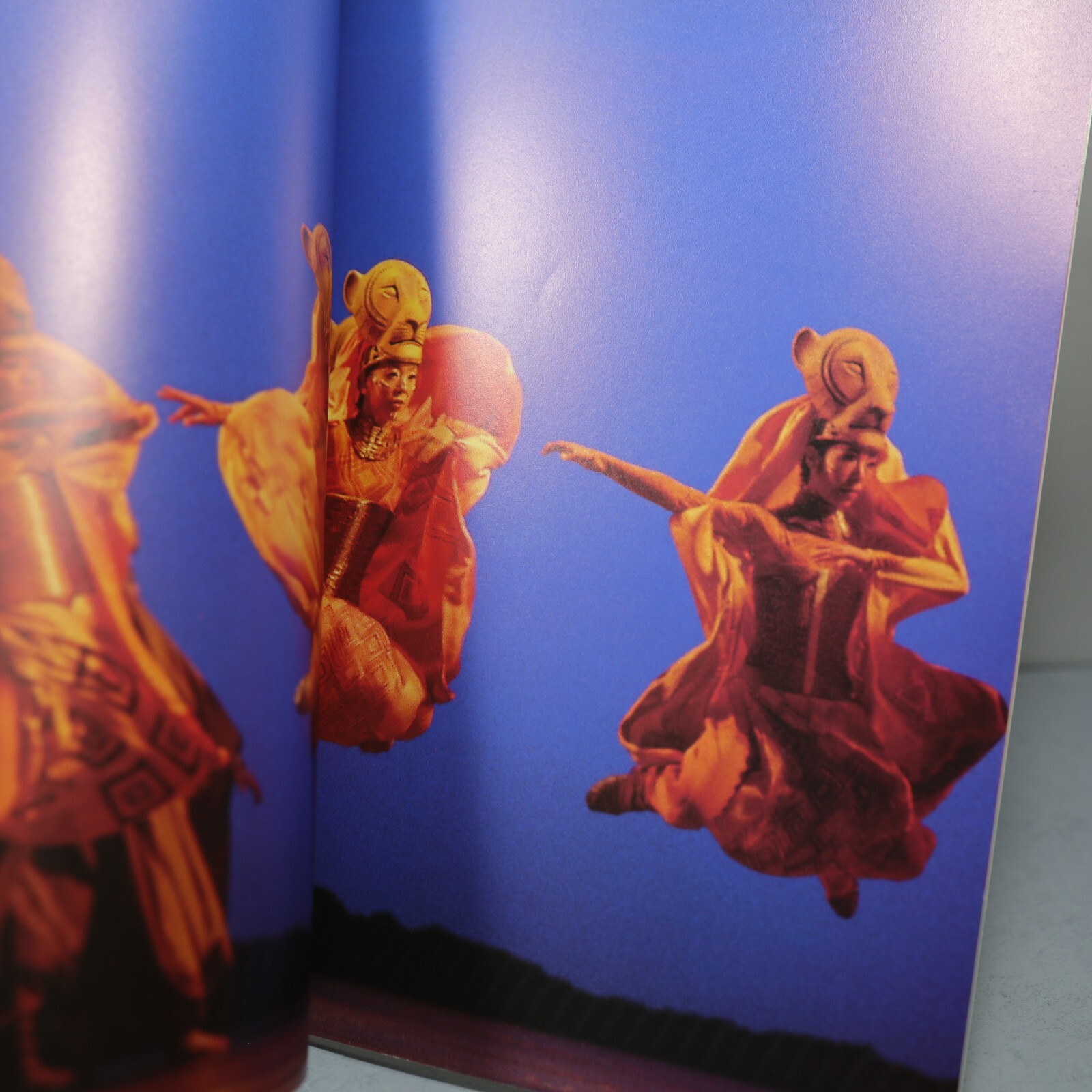 Musical Lion King Shiki Theatre Company Japanese Performance Program ...