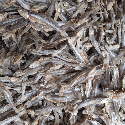Dried (Halmasso) Salted Sprats Anchovies Seafood Ceylon 100% Best ...