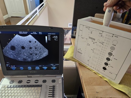GE 8C-RS Ultrasound Probe / Transducer | eBay