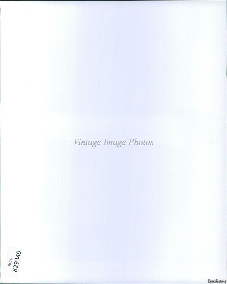 1998 The Mask Of Zorro Stuart Wilson Matt Letscher Tristar Actor 8X10 ...