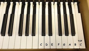 YAMAHA Clavinova Replacement Keys CLP CVP Series P120 - Motif8 . NEW IN ...