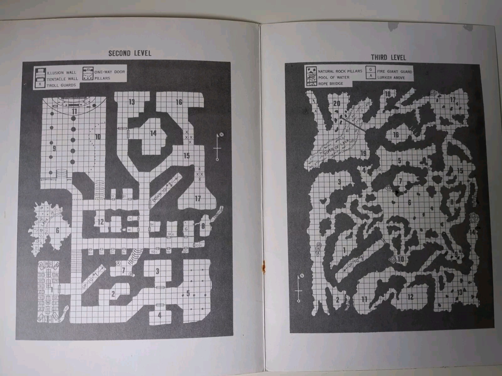 Dungeons and Dragons Hall of the Fire Giant | Grelly UK