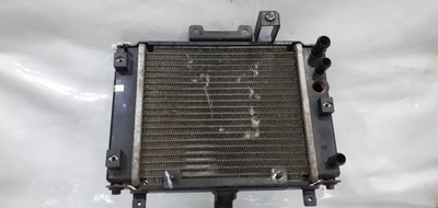 Radiator KYMCO PEOPLE S 250 2005 2009 | eBay Australia