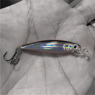 Dynamic Lures MICRO HD TROUT (Silver/Black) Fishing Lure 1.5" | eBay