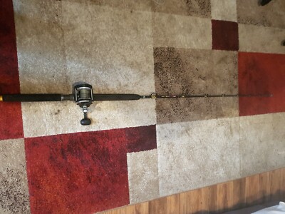 fishing rod used only once but 12 years old | eBay