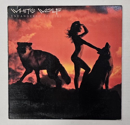 White Wolf - Endangered Species - NM | eBay