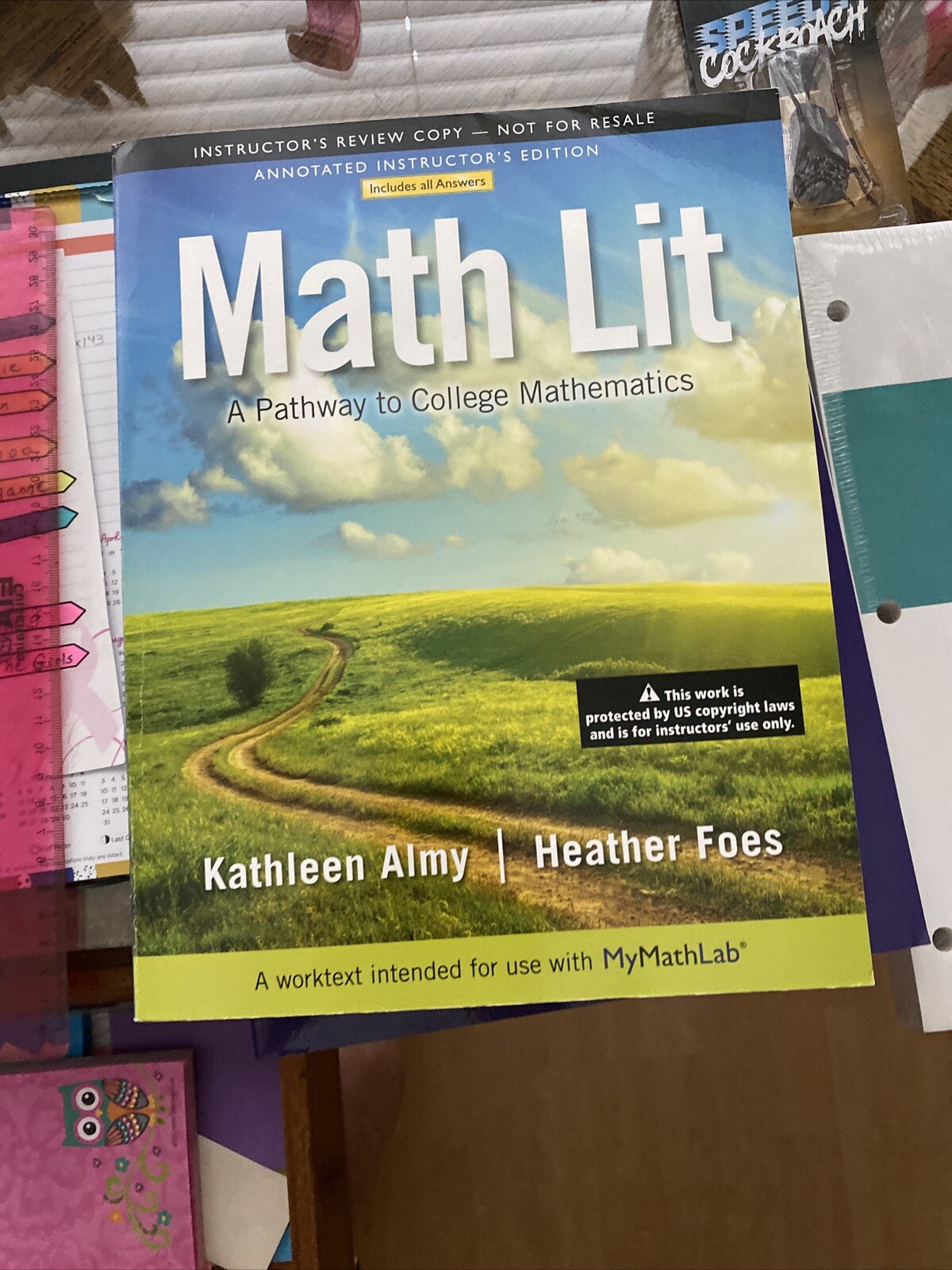 Math Lit- A Pathway to College Mathematics - Almy Instructors Edition ...