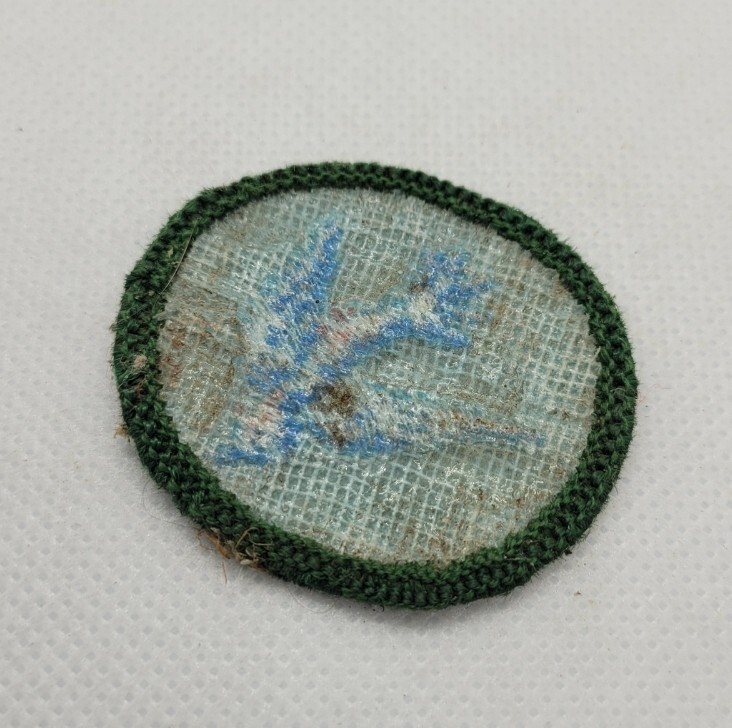 Retired Oval Girl Scout BLUEBIRD TROOP CREST Bird Badge Patch ...
