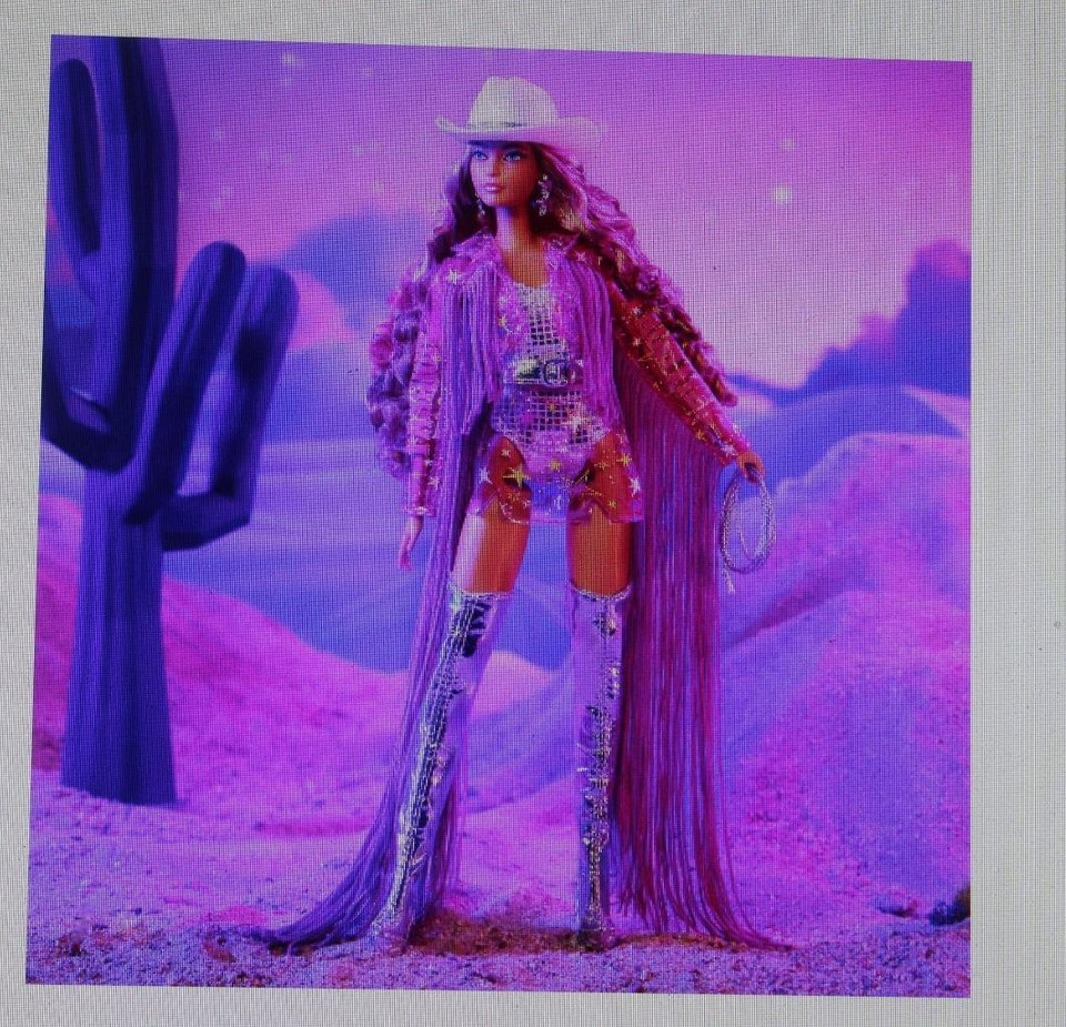 2024 Mattel HRM92 Barbie Fashion Signature Collection Western Frontier ...