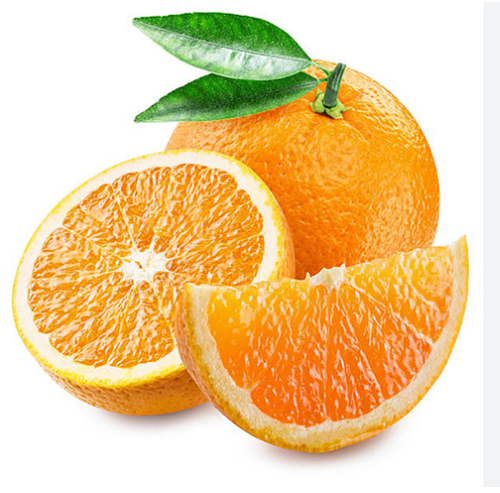 Bag Fresh Orange Premium Oranges NAVEL or VALENCIA 5 lbs lot of Fresh ...