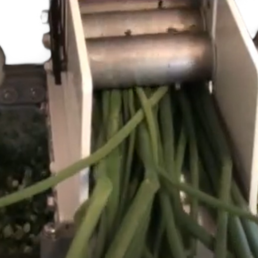 NEGIMARU CHIBA KOGYO Electric Green Onion Cutter Vegetable Slicer 100V ...