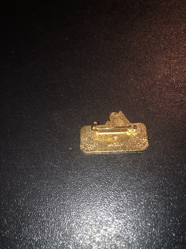 Alpine Ski Club Phoenix Arizona pin badge | eBay