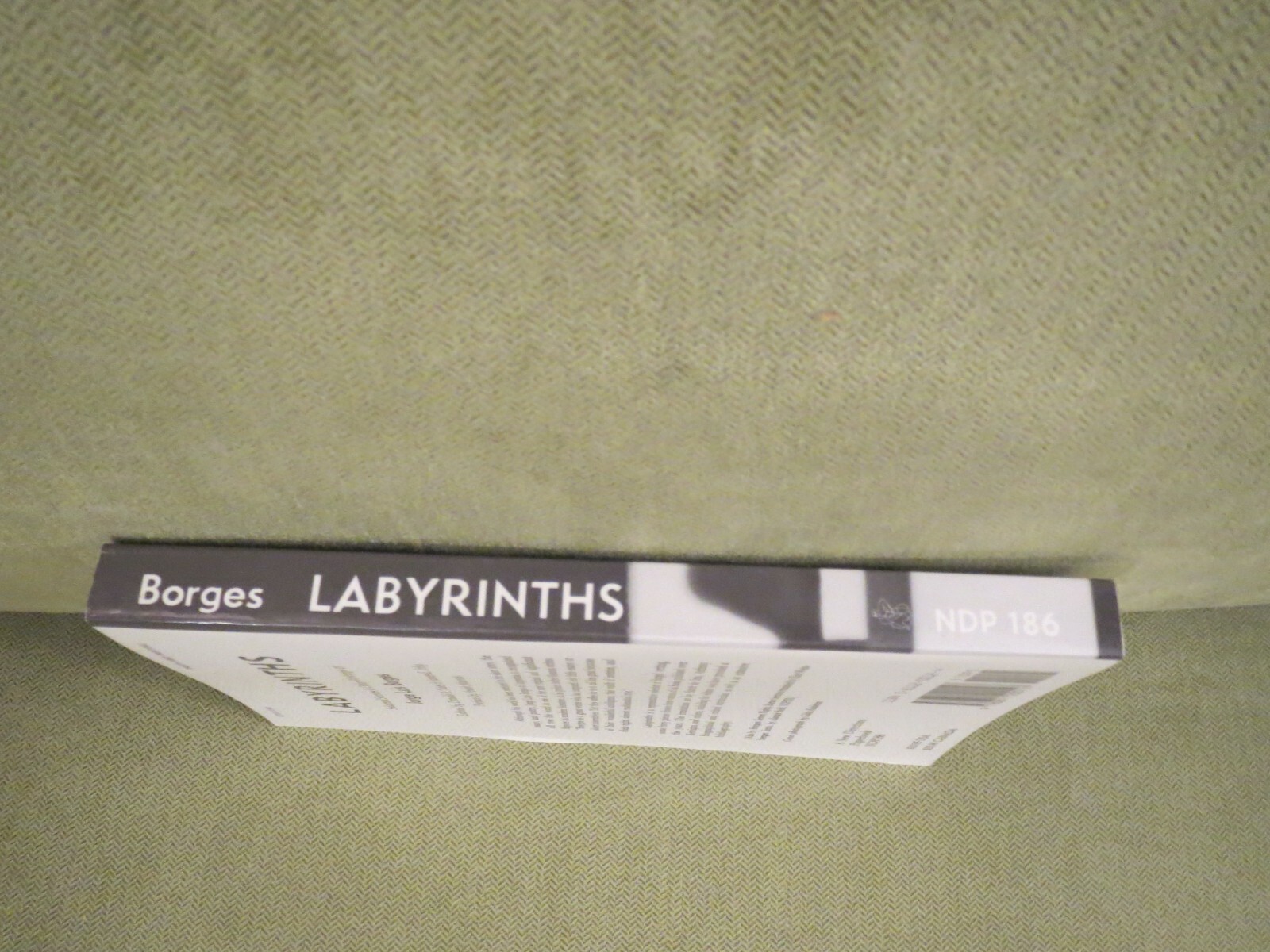Labyrinths by Jorge Luis Borges (Uk-B Format Paperback) for sale online ...
