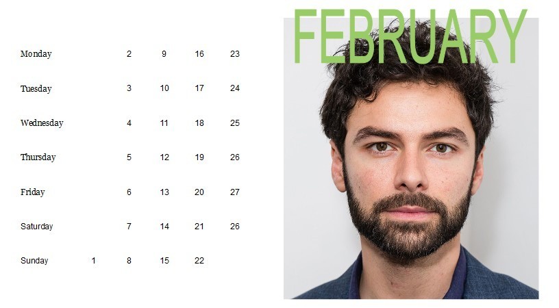 Emma Watson 2026 Landscape Desktop Calendar | eBay