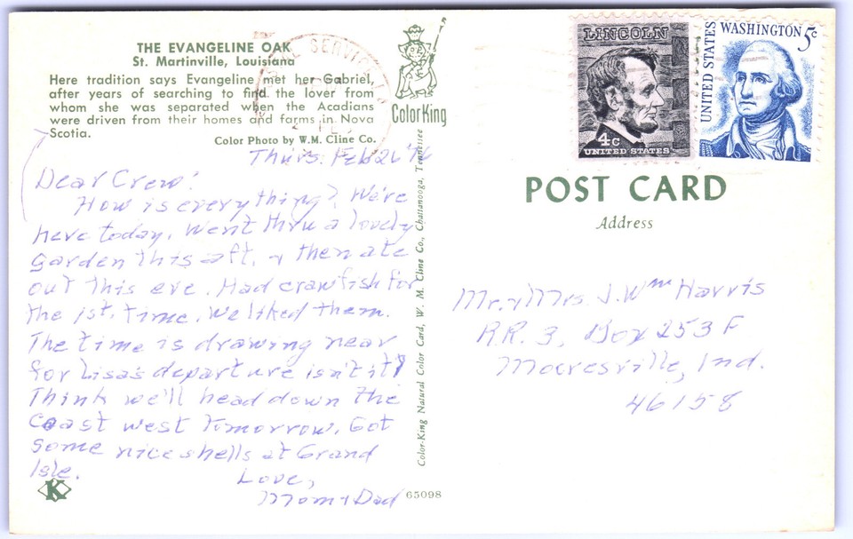 Postcard LA The Evangeline Oak Tree St Martinvill c.1970's I9 | eBay