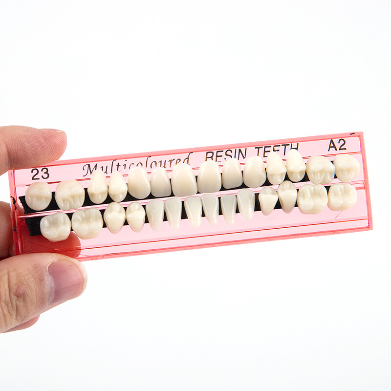 28Pcs Resin Teeth Model Durable Dentures Universal False Teeth Dental ...