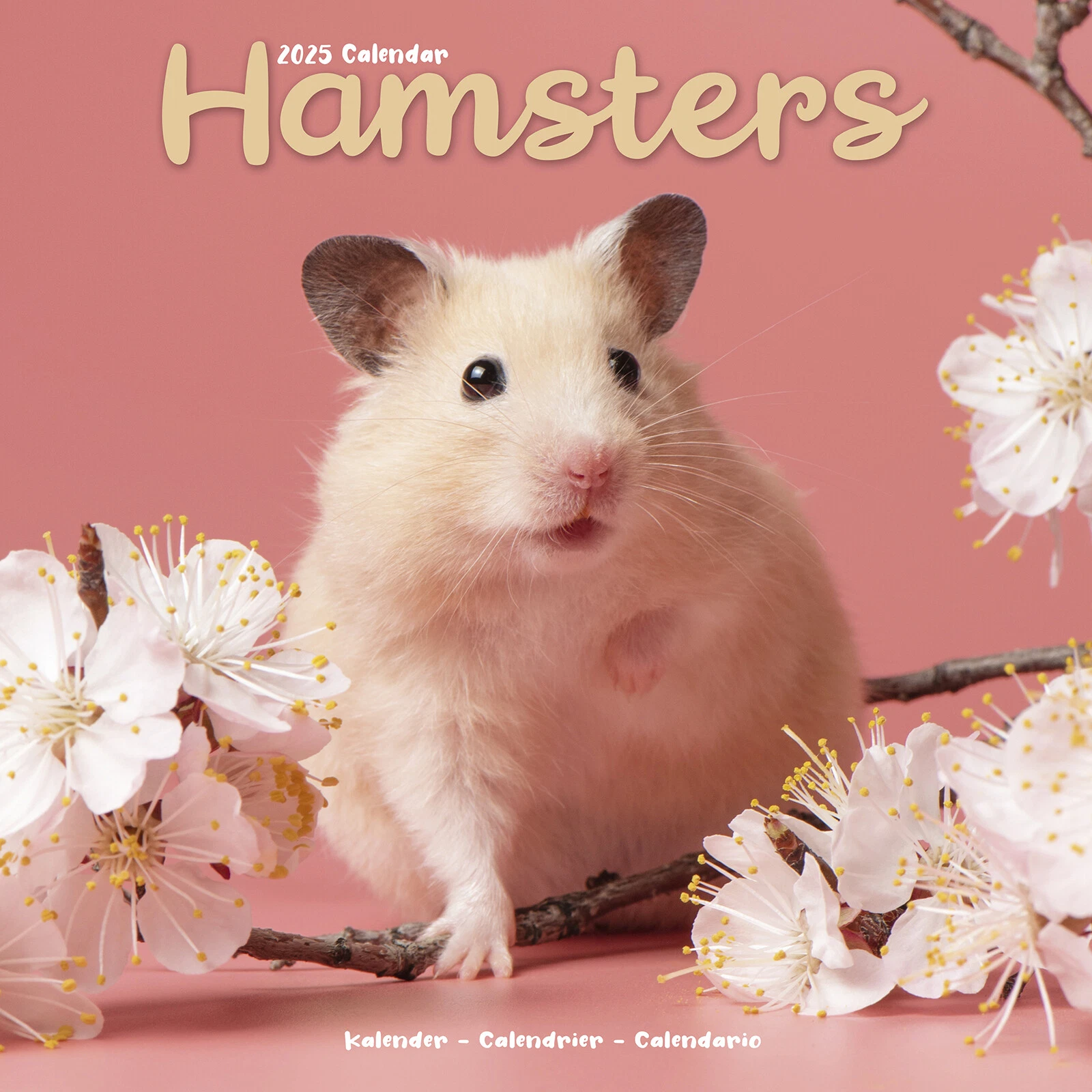 Hamsters Calendar 2025 Gift Wall Calendar 15% OFF MULTI ORDERS | ID ...