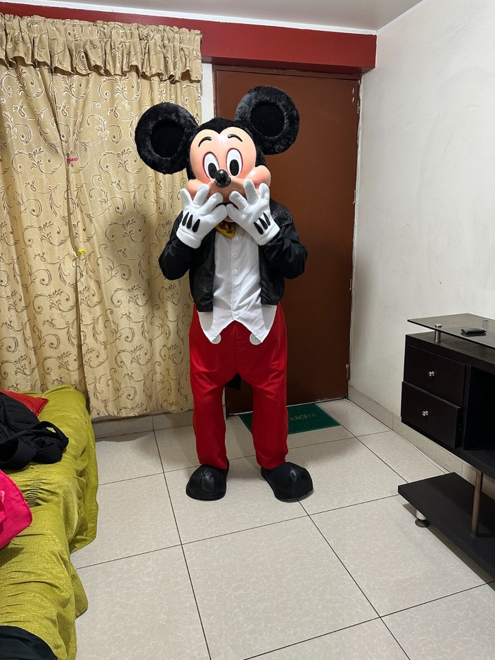 Mickey Mouse Fiberglass head mascot costume party Event botarga ...