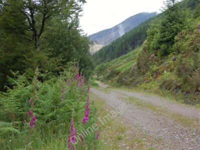 Photo 6x4 Forest road from Achnashellach Lair/NH0148 The rocky hill in ...