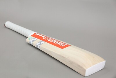 Gray Nicolls Cricket Bat Fielding Practice English Willow Training Nets ...