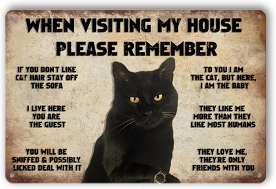 Friendly Reminder Cat Friendly Cat Reminder" Sticker By LisaMariaKa
