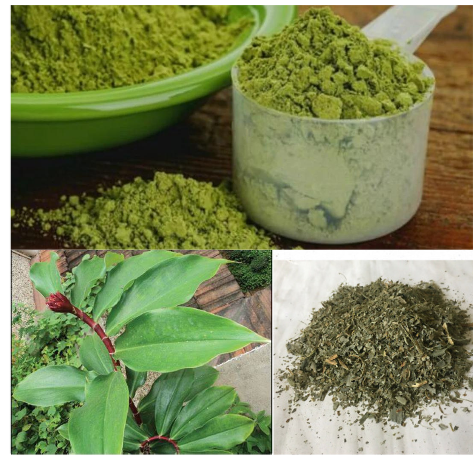 Insulin Plant Leaves Powder Dried Costus Igneus Thebu Organic Natural ...