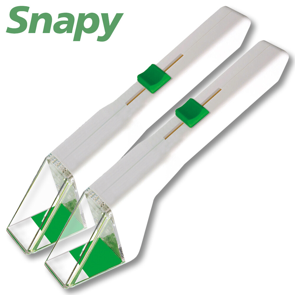 Snapy 2 x Der freundliche Insektenfänger Grün