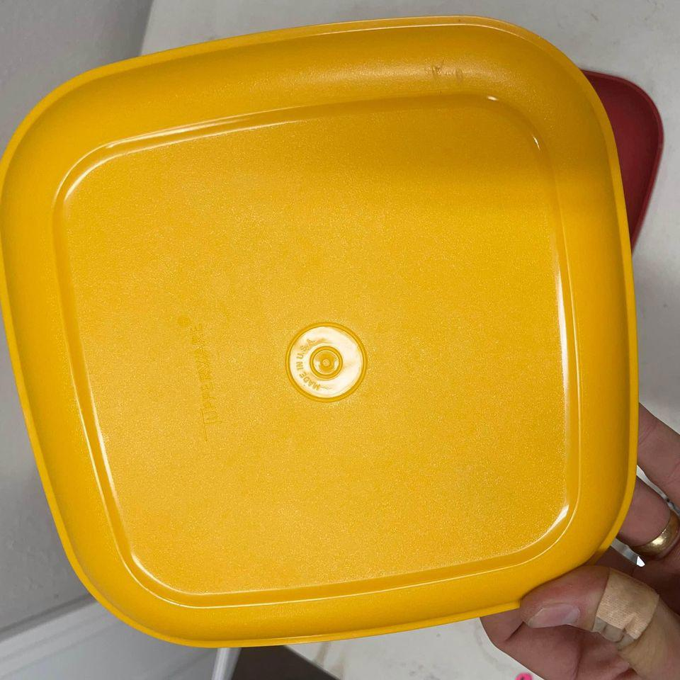 4 Vtg Tupperware Square Plates 1534 Lunch Picnic Salad Autumn Fall ...