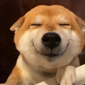 qfc-24 | eBay Stores