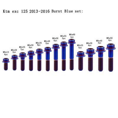 Rison Titanium Bolt KTM Engine Kit KTM exc Engine Bolt M6 M8 Titanium ...