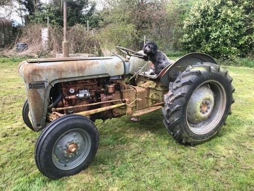 Ferguson FE35 Grey and Gold Diesel Tractor (not T20) | eBay UK