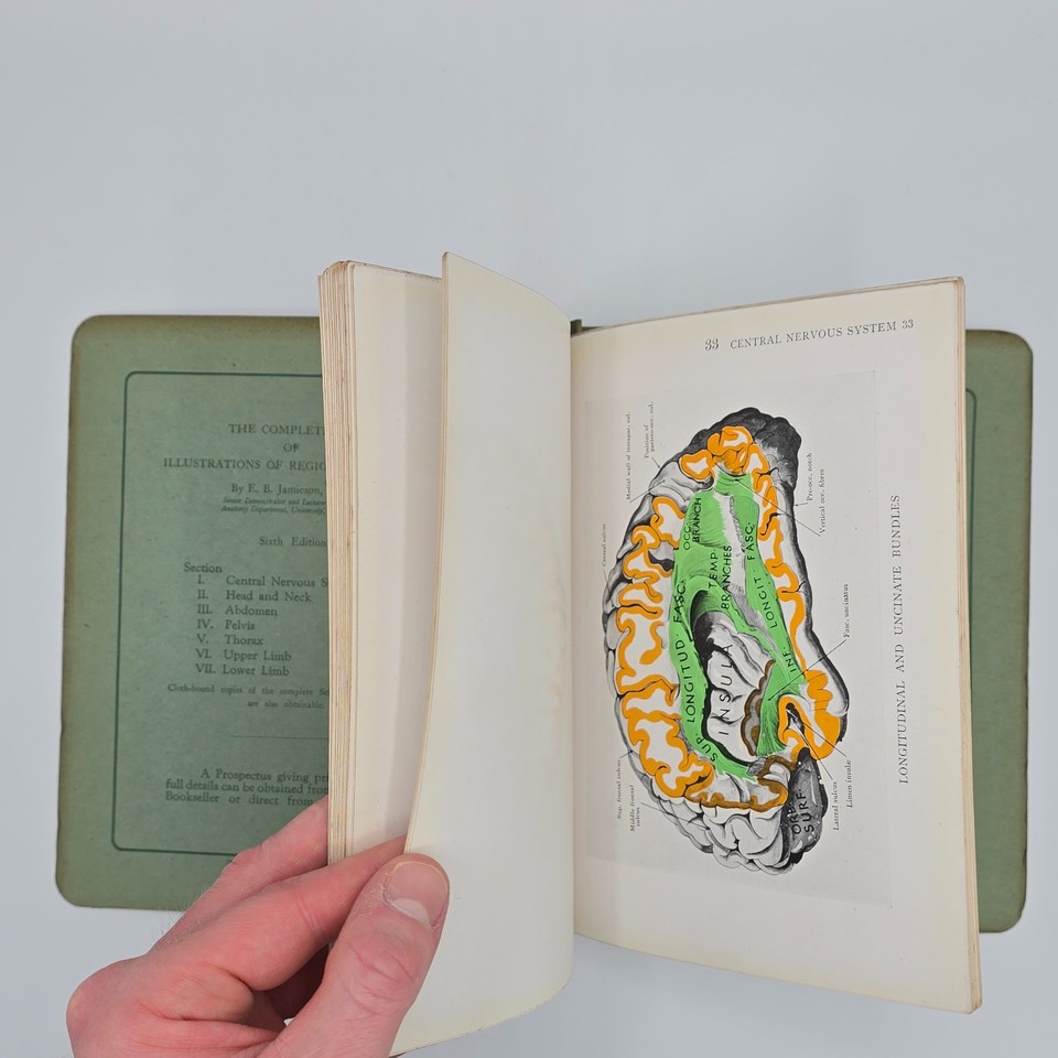 1946 Jamieson Anatomy Plates CNS – 51 Coloured Brain & Nerve ...