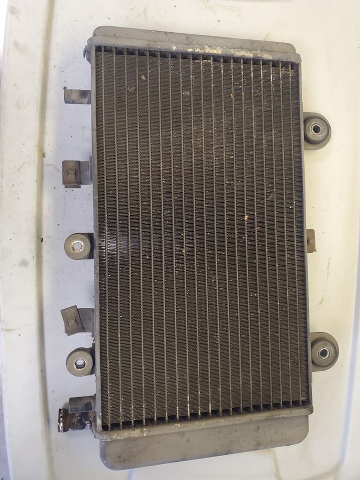 01 - 06 Triumph Tiger 955i radiator | eBay