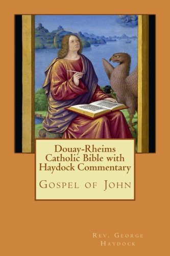 Douay-Rheims Catholic Bible with Haydock Commentary: Gospel of John by ...