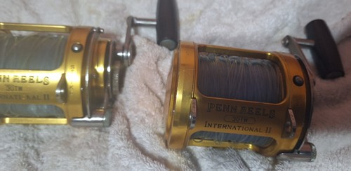 PENN International 30TW Fishing COMBOS Rod IGFA 30 LB | eBay