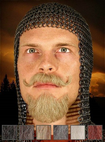 Realistic Knights Beard Moustache Set Medieval Real Human Hair Chin ...