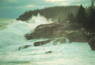 Postcard The Ocean Drive, Acadia National Park VTG CC6. | eBay
