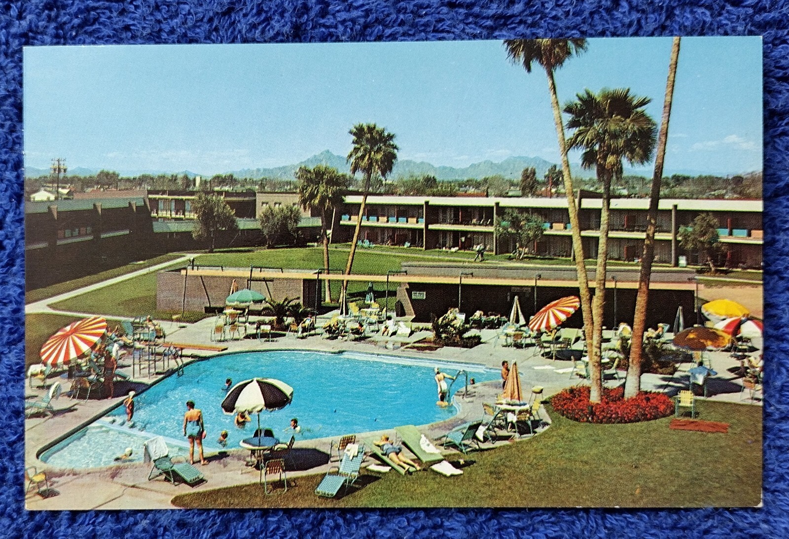 Higley AZ James Macchiaroli Fruit Co | eBay