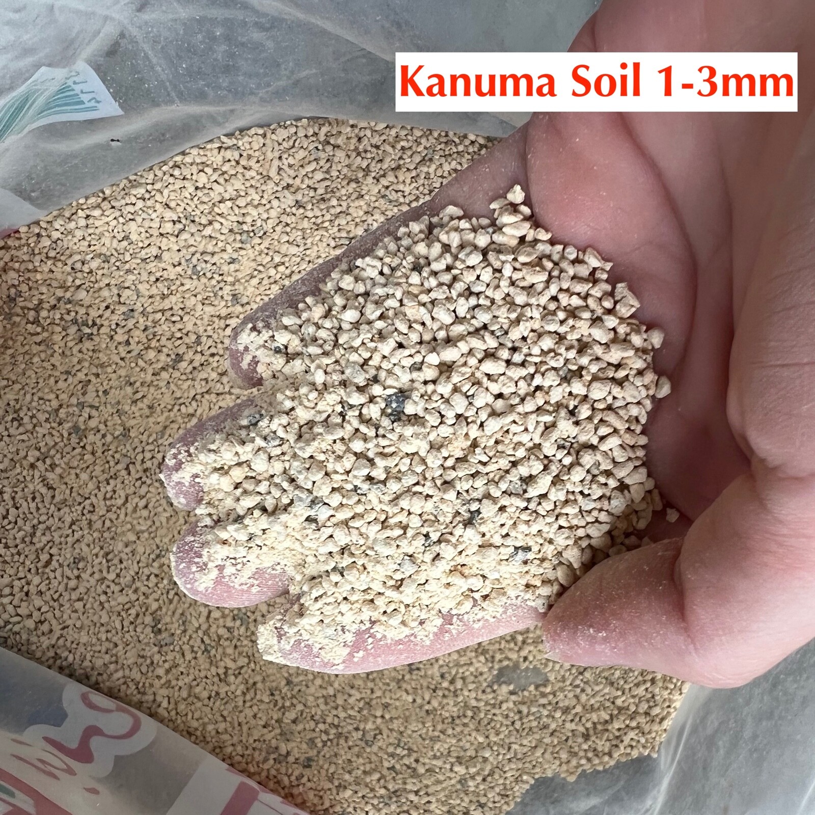🔥 Japanese AKADAMA Premium DoubleLine Kanuma soil Pumice Succulent ...