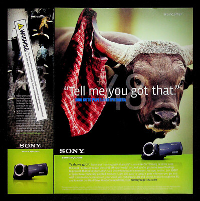 Sony Handycan Digital Camcorder 2006 Buffalo Print Magazine Ad Poster ...
