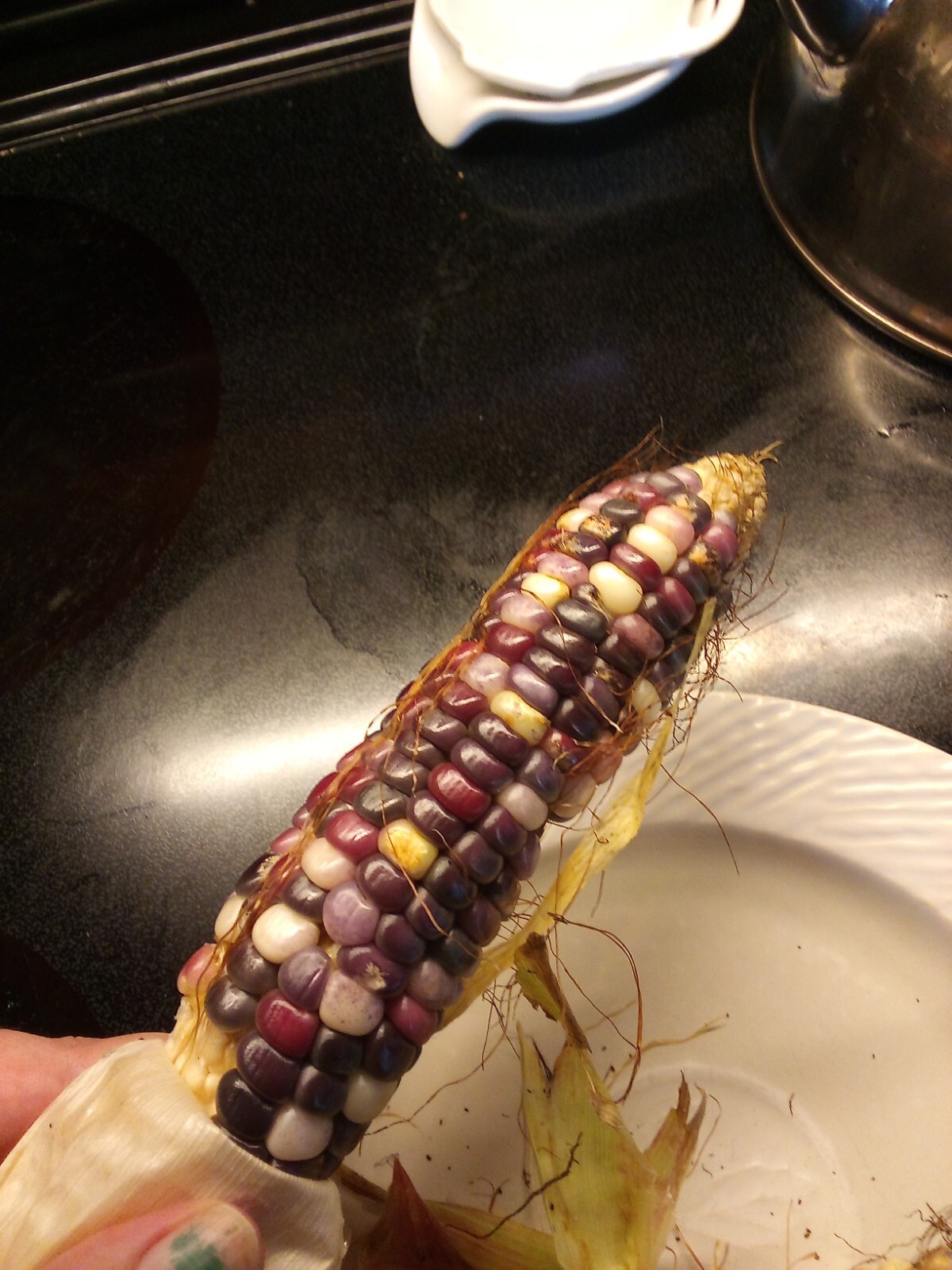 Marbled Glass Gem Corn Heirloom Seeds | eBay