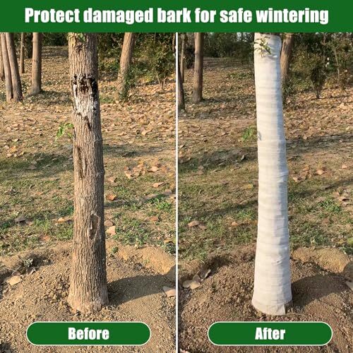 Tree Wraps To Protect Bark For Winter 360 Ft Cold-Proof Tree Wrap For ...